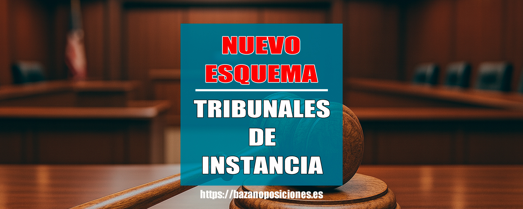 Tribunales de Instancia y Tribunales Centrales de Instancia: sus ...
